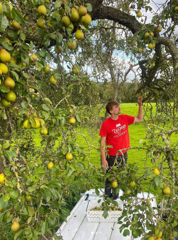 Fruits of the Forage - Home – fruitsoftheforage
